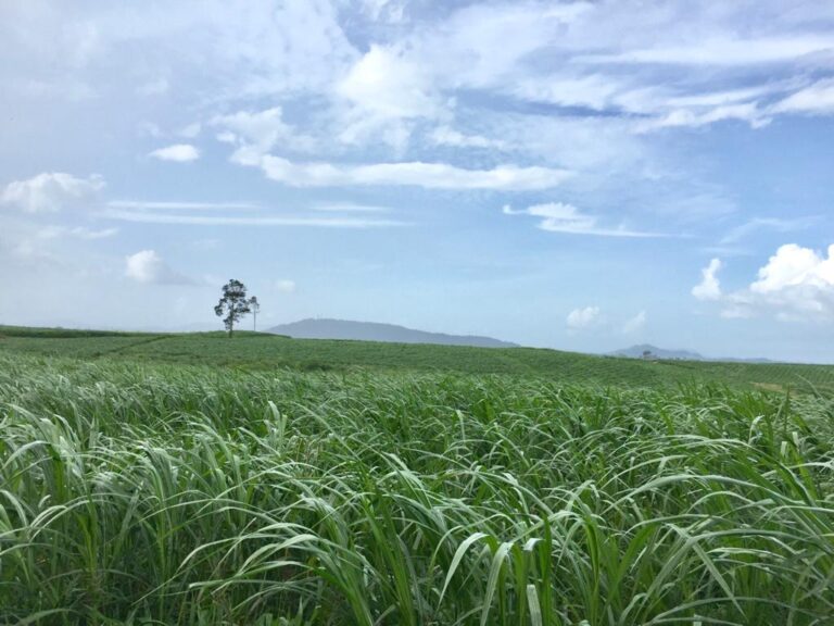 Certified Humane® Asia | Animal Welfare | Farm Fresh Group Malaysia
