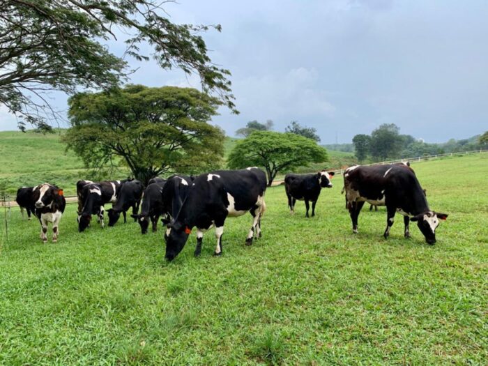 Certified Humane® Asia | Animal Welfare | Farm Fresh Group Malaysia
