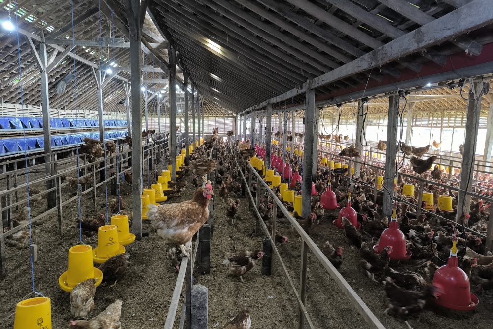 Certified Humane® Asia | Animal Welfare | PT. Cahya Adi Surya Indonesia